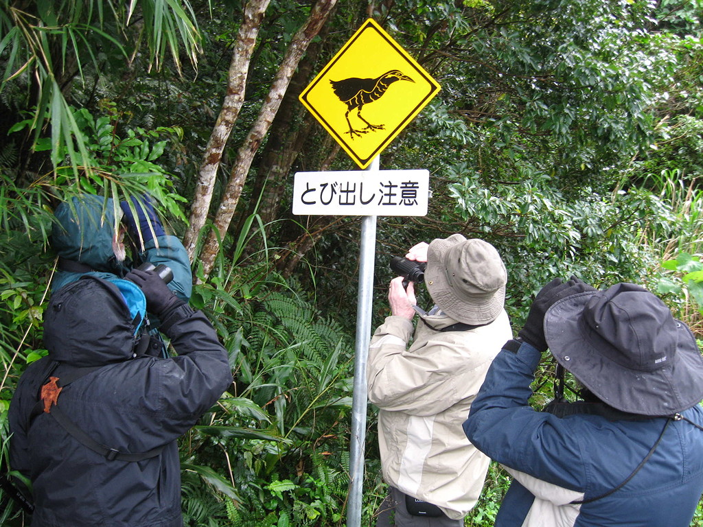 Northern Okinawa including Yanbaru | Japan Nature Guides