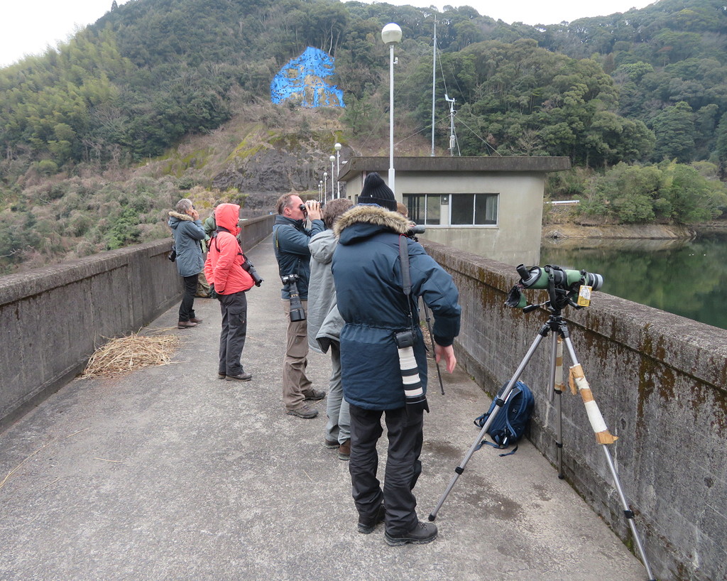 Kagoshima Prefecture | Japan Nature Guides